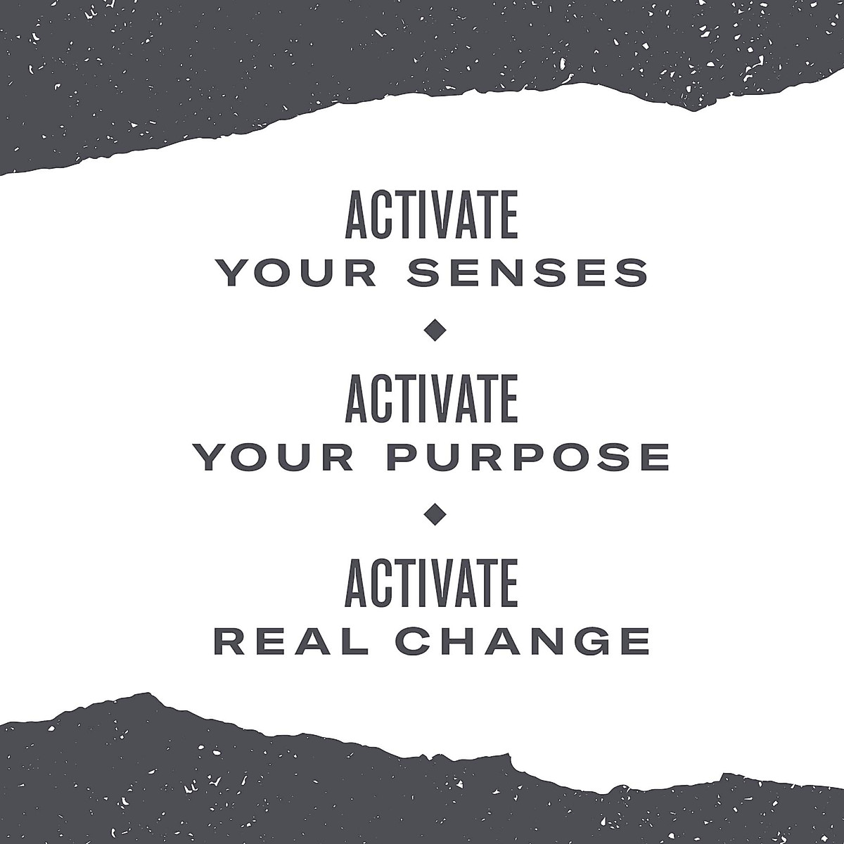 Numi Organic Chocolate Rooibos Tea, 16 Tea Bags (Pack of 6), Red Tea with Cocoa, Honeybush & Vanilla (Packaging May Vary)