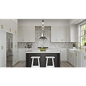 Pfister LG529-NEBG Neera Pull Down Kitchen Faucet, Brushed Gold