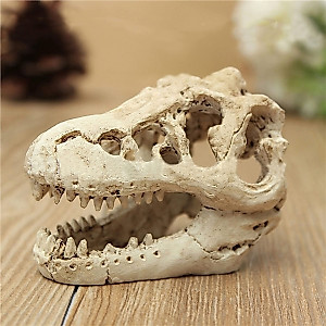 AWXZOM Desert Reptile Decor Skull Fish Tank Decorations Bearded Dragon Accessories Desert Reptile Decor Bearded Dragon Decor, Snake Tank Decor (Cattle+ Dinosaur)