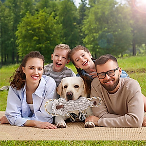 Large Squeaky Dog Toys for Aggressive Chewers,Interactive Tug of War Puppy Toys with Pull Rope,Tough Plush Pet Dog Chew Toys for Small, Medium and Big Dogs