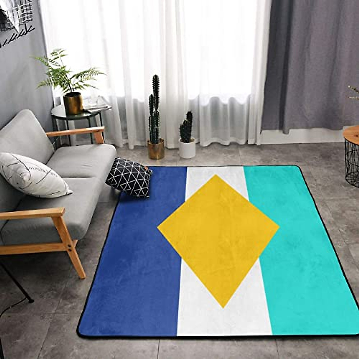 LIICHEES Flag of Snowchester, Dream SMP Area Rug 63x48in Washable Rugs for Living Room Bedroom Large Rug Indoor Decorative Carpet Yoga Mat