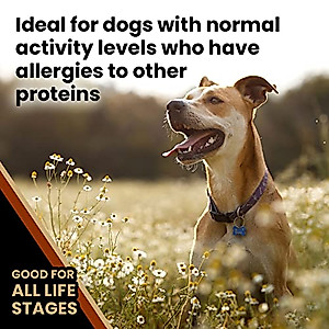 Victor Super Premium Dog Food – Chicken Meal & Brown Rice Formula - Dry Dog Food for All Normally Active Dogs of All Life Stages – Ideal for Dogs with Meat Protein Allergies, 40 lb