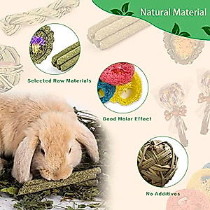 FIPASEN Rabbit Chew Toys for Teeth, 16PCS Natural Timothy Hay Chew Toy, Improve Dental Health for Bunny/Chinchilla/Guinea Pig/Hamsters/Holland Lop, Small Rodent Pet Molar Teeth Treats Toys