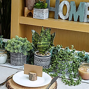Winlyn 3 Pcs Small Potted Plants Artificial Succulents Hanging Plants and Faux Tropical Snake Plant in Black Geometric Pots for Modern Home Kitchen Windowsill Table Shelf Indoor Outdoor Greenery Decor