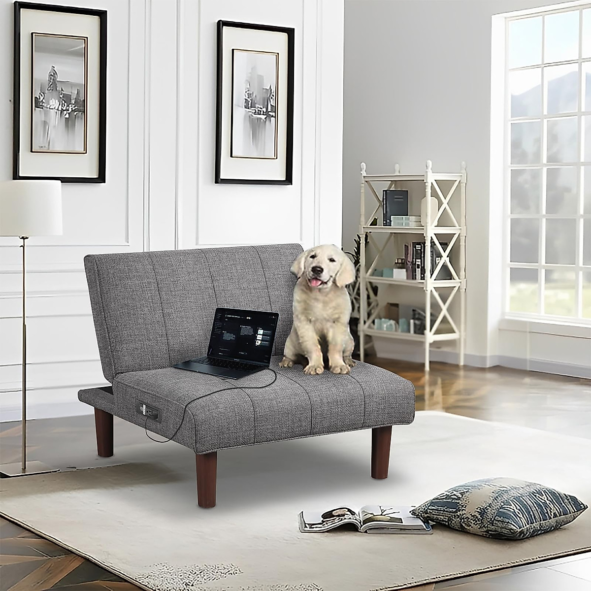 Mini Couches, Armless Upholstered Futon Couch Chair with USB Charger, Adjustable Backrest Small Sofa Couch for Living Room, Bedroom, Office, Dorm, Apartment,Kids Room,Gray Dog Couch 305DR1USB