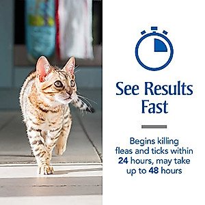 PetArmor Plus for Cats, Flea & Tick Prevention for Cats (Over 1.5 lb), Includes 6 Month Supply of Topical Flea Treatments, white, 6 count