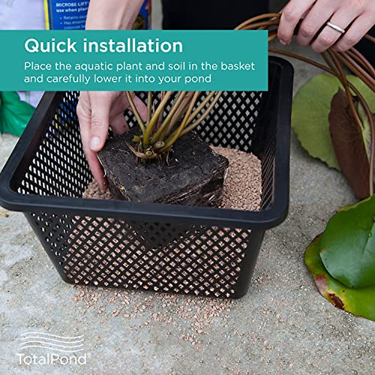 TotalPond Aquatic Plant Basket, 10-inch