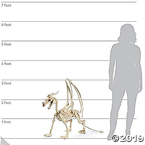Fun Express 36" Dragon Skeleton Halloween Decoration