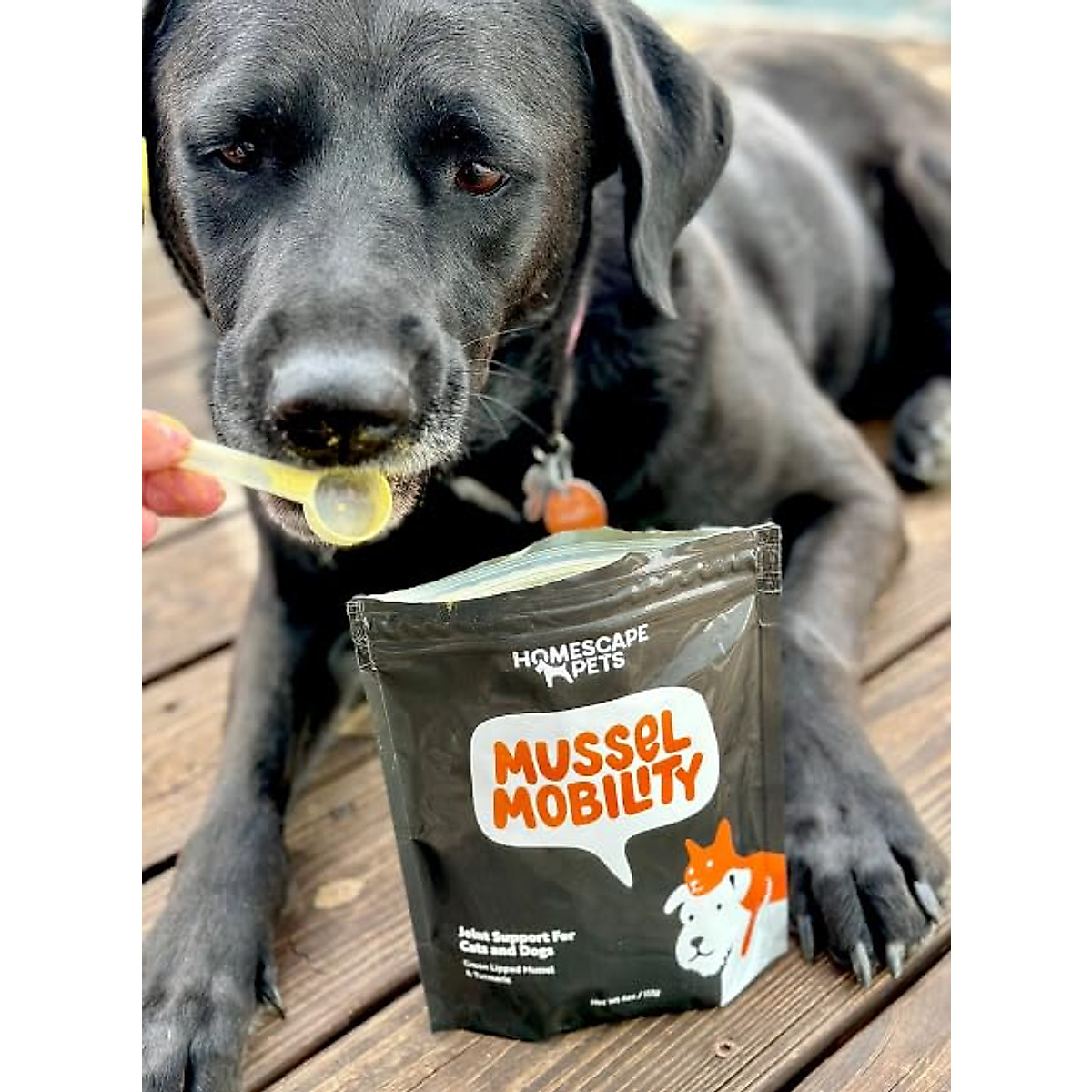 Homescape Pets Bundle - Mussel Mobility + Daily Thrive Pet Supplements for Arthritis, Hip and Joint Mobility and Help Calm Aches & Improve Immunity - for Dogs and Cats