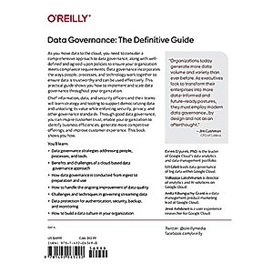 Data Governance: The Definitive Guide: People, Processes, and Tools to Operationalize Data Trustworthiness