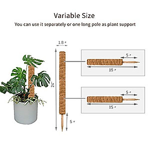 JOYSEUS 30 Inch Moss Pole for Climbing Plants - 2 Pack 15 Inch Coir Totem Pole Plant Support with 65 Feet Garden Twist Tie for Monstera and Potted Plants to Grow Upwards…