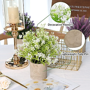 FUNARTY Fake Plants 3pcs Small Potted Plants Mini Artificial Small Flower 10” Faux Greenery Plants Indoor Lavender Pot for Garden Lawn Balcony Office Home Desk Decoration