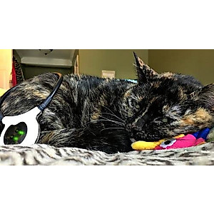 Assisi Loop 2.0 Manual tPEMF Device for Dogs, Cats, and Horses (10 CM)