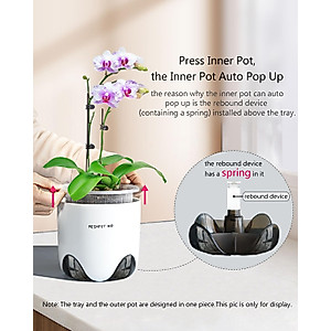 Meshpot 6 inch Orchid Pots with Holes,Set of 2,Double Layer Plastic Imitate Ceramic Orchid Planter Provide Good Air Circulation,Clear Orchid Pot Match Decorative Orchid Container