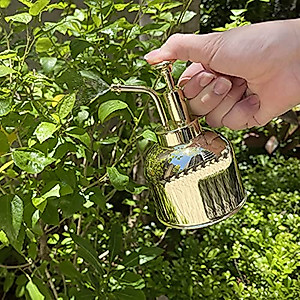 LOOPSEED Stainless Steel Plant Mister Spray Bottle Watering Can for Indoor Plants Succulent Bonsai Garden Spray Houseplant Spritzer Modern Garden Tools 10oz/300ml (GOLD)