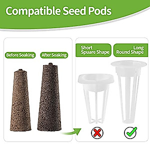 Feyut 30 Pack Grow Sponges, Replacement Root Growth Sponges Seed Pods Compatible with AeroGarden, Seedling Starter Sponges Kit for Hydroponic Indoor Garden System with 10pcs Plant Labels 1pcs Tweezer