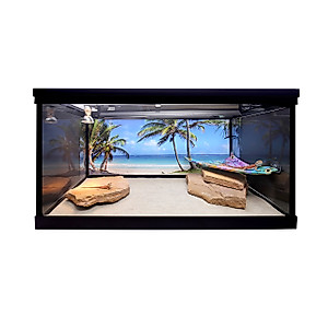 Carolina Custom Cages Reptile Habitat Background, Tropical Beach and Palm Trees, 15.75" x 36"