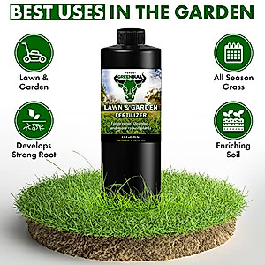 Persist Green Bull - 32oz Liquid Grass Fertilizer for Lawn and Garden Soil that Naturally Enhances Green and Creates Nitrogen Rich Plant Soil for Spring or All Year Lawn Care, Naturally Based Fertilizer for Greener Plants