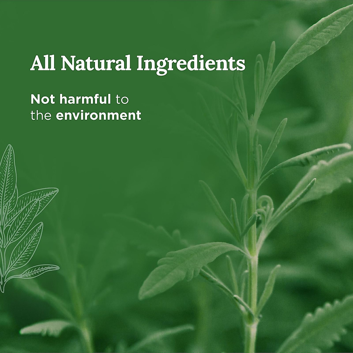 Magnificent 101 Long Lasting Pure White Sage Collective Candle | 6 Oz - 35 Hour Burn | Soy Wax Candle For House Energy Cleansing & Manifestation | Future Is So Bright & It's Coming Soon