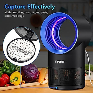 FVOAI Fruit Fly Trap for Indoors, Fly Traps Indoor for Home Gnat Traps House Indoor, Bugs Trap with Time Setting, 10 Sticky Glue Boards Black