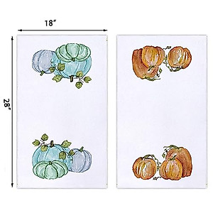 Secarond Fall Pumpkin Kitchen Dish Towel 18 x 28 Inch Set of 2, Autumn Harvest Thanksgiving Pumpkins Farmhouse Holiday Tea Towels Dish Cloth for Cooking Baking