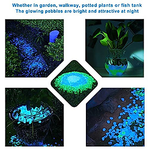 surgicalonline 300pcs Garden Decorative Stones Glow in The Dark Luminous Pebbles for Walkways Plants Aquarium Decor， Glowing Pebbles Powered Fish Tank Garden Decoration (Blue)