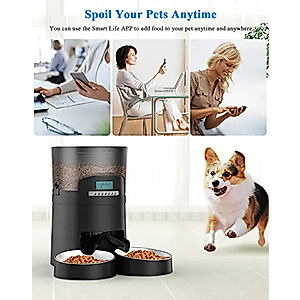 HoneyGuaridan Automatic Cat Feeder for 2 Cats,Wi-Fi Smart Pet Feeder,Timer Cat Food Dispenser for Cats & Dogs, APP Control,Dessicant, Voice Recorder,Stainless Steel Bowl 1-6 Meals a Day (Black)