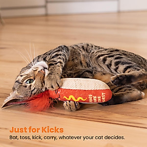 Catstages Hot Dog Kicker Catnip Toy and Dental Toy for Cats Hot Dog Themed Funny Catnip Stuffed Kicker Toy, Brown