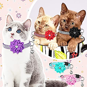 6 Pcs Cat Collars for Girl Cats Bling Kitten Collar with Bell and Flower Glitter Cat Collars Soft Velvet Cute Dog Collar with Buckle Shine Puppy Collar (7.9-9.8 inch)