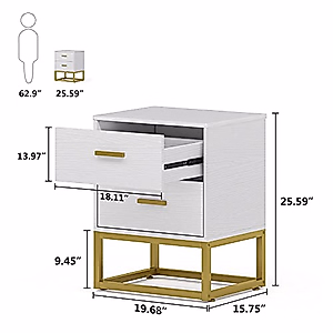 2 Drawer Nightstand, White and Gold NightStands for Bedrooms Modern Side Table