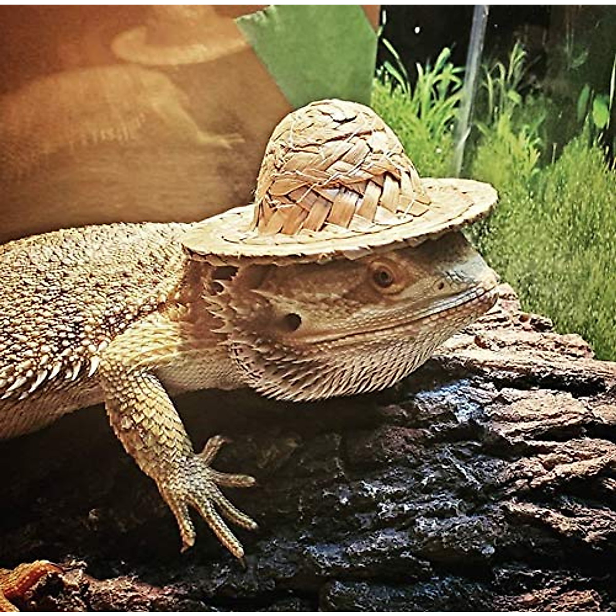 4 Pack Lizard Clothes for Bearded Dragons Straw Hat Set Reptile Apparel Handmade Sleeveless T-Shirt Vest Skin Protection Photo Party for Lizard Bearded Dragon Crested Gecko Chameleon (L, 4 Pack Set)