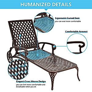 ROIYEIER Lounge Chairs for Outside, Chaise Lounge Outdoor Set of 2 Cast Aluminum with Adjustable Backrest and Moveable Wheels for Poolside Backyard Patio, Bronze