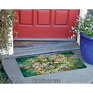 Toland Home Garden 800035 Sweet Chickadees Spring Door Mat 18x30 Inch Summer Outdoor Doormat for Entryway Indoor Entrance