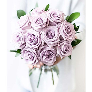 From You Flowers - One Dozen Purple Roses with Glass Vase (Fresh Flowers) Birthday, Anniversary, Get Well, Sympathy, Congratulations, Thank You
