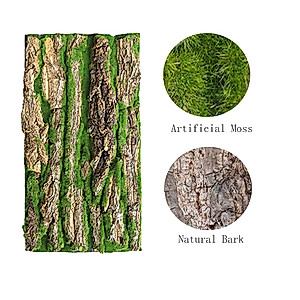 PINVNBY Cork Terrarium Background,Reptile Bark Backdrop Wall Decor and Artificial Moss for Gecko,Lizard,Tortoise,Chameleon (2 Pack)