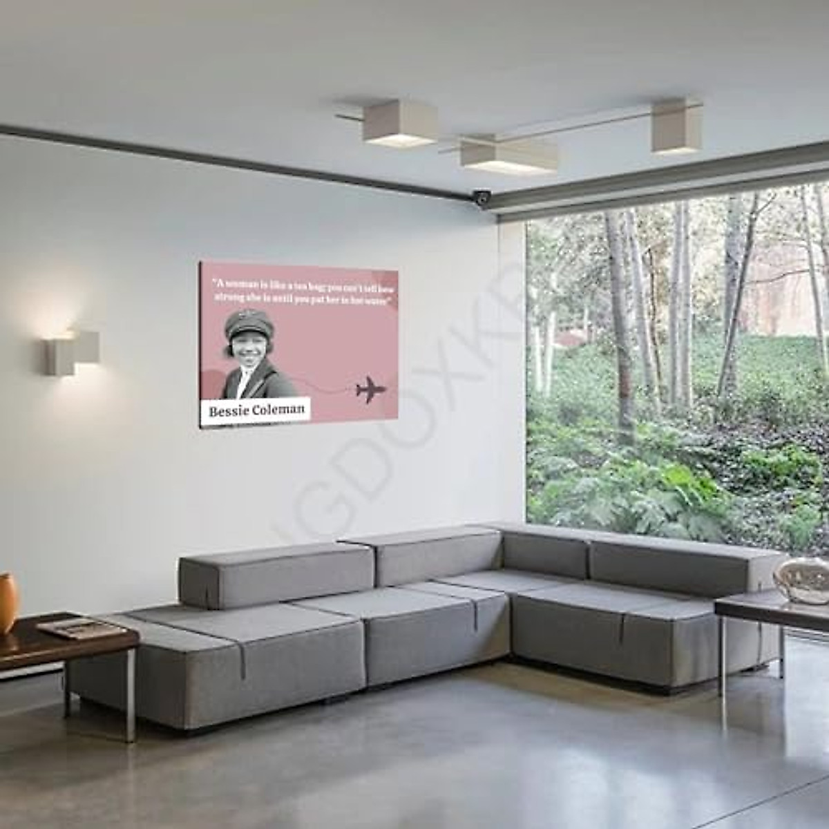 African American Pilot Bessie Coleman Portrait Inspirational Quote Art Poster (1) Canvas Poster Bedroom Decor Office Room Decor Gift Frame-style 20x16inch(50x40cm)