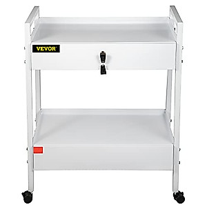 VEVOR Lab Cart, 2 Tiers Stainless Steel Utility Cart Medical Cart 2 Drawers Rolling Lab Cart White Paint Serving Cart with 360° Casters for Laboratory Hospital Dental Office Salon Beauty