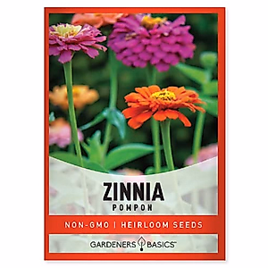 Zinnia Seeds for Planting Outdoors (Pompon) Flower Seed Packet Annual Flower Heirloom, Non-GMO Variety- 800mg Seeds Great for Summer Seeds for Flower Gardens by Gardeners Basics