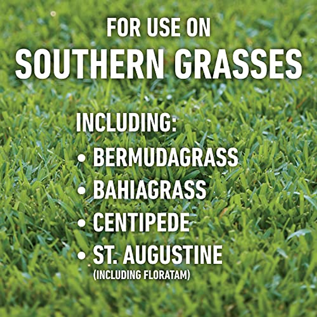 Roundup for Lawns₄ Refill (Southern) - All-in-One Weed Killer for Lawns, 1 gal.