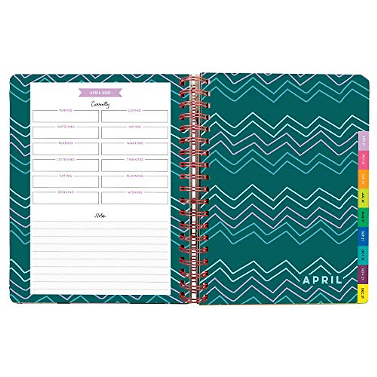 This Is My Song 17-Month Large Planner 2020-2021 (Pipsticks+Workman)