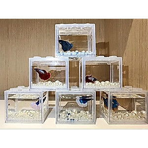AWXZOM 2pack Small Betta Fish Tank,Small Fish Tank Plastic Fish Bowl Small Goldfish Bowl Small Aquarium beta Fish Tank with Cover (2pack-Small-Clear)
