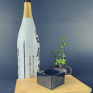 JapanBargain 4808, Masu Cups Japanese Sake Cups Plastic Lacquer Saki Cups, Made in Japan, Black Color Gold Rim, Set of 4