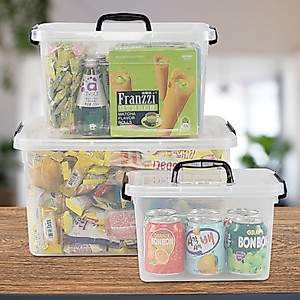 Jnktka 20 Quart Plastic Storage Tote with Lid, Set of 4, Clear Latching Storage Bins