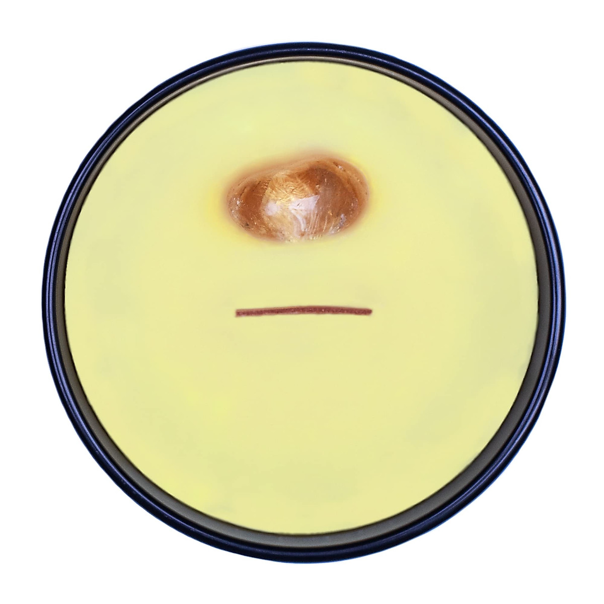 Naturally Wicked Spellbinding Happiness Candle with Crystal, Wood Wick & Gift Box