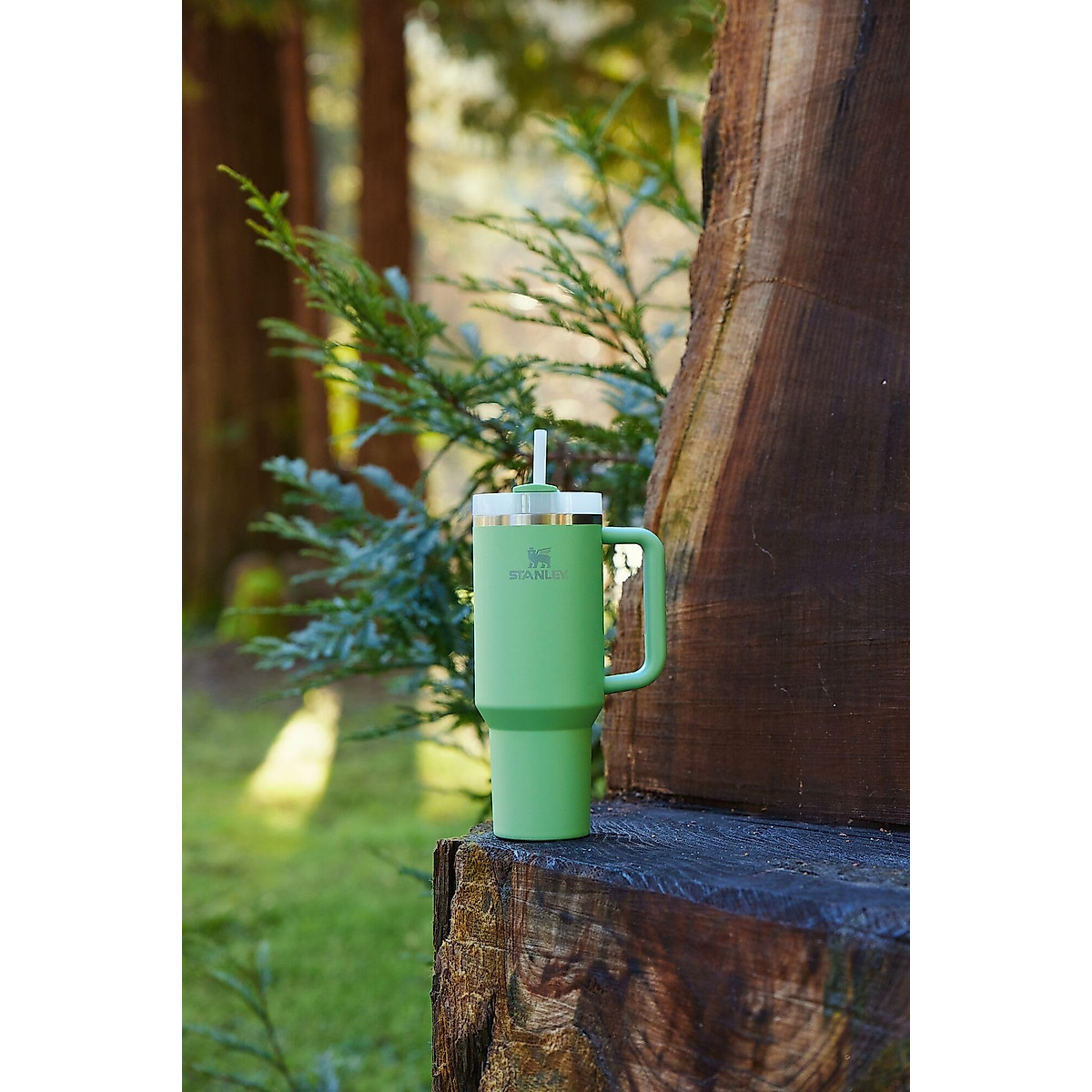 Stanley Quencher H2.0 FlowState Stainless Steel Vacuum Insulated Tumbler with Lid and Straw for Water, Iced Tea or Coffee, Smoothie and More, Jade, 40 oz