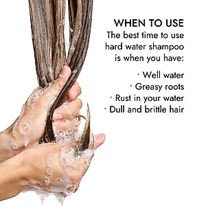 Ion Hard Water Shampoo 10.5 ounce