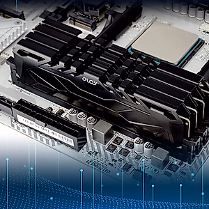 OLOy Memory DDR4 RAM 64GB (2x32GB) 3200 MHz CL16 1.35V 288-Pin Desktop Gaming UDIMM (MD4U323216DJDA)