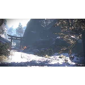 Arashi Castles of Sin (PS4) (PS4)