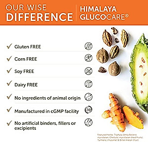 Himalaya GlucoCare Herbal Supplement, Glucose Metabolism, Pancreatic Support, Triphala, Bitter Melon, Turmeric, Gluten Free, Vegan, 180 Capsules, 45 Day Supply