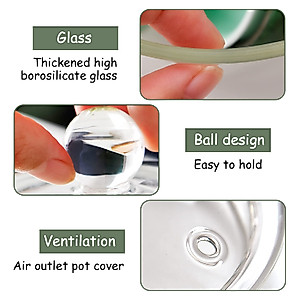 Hoypeyfiy Glass Saucepan with Cover, Transparency Stovetop Pot,Dual Handles Pan with Lid for Pasta Noodle, Soup, Milk, Baby Food making or heating 1.35L/1.9L (1.9L)